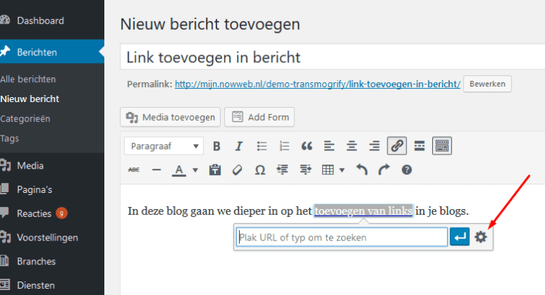 Een link, knop of button maken op je website - nowweb.nl