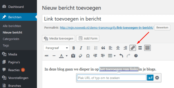 Een link, knop of button maken op je website - nowweb.nl